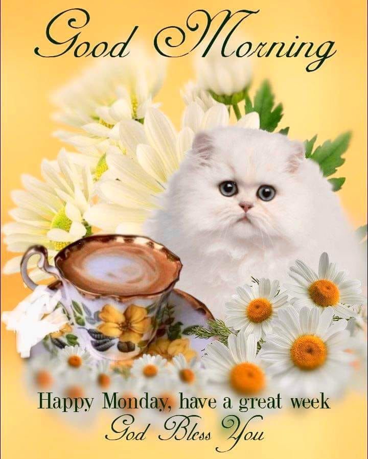 Happy Monday, Good Morning And Have A Great Week Pictures, Photos, and ...