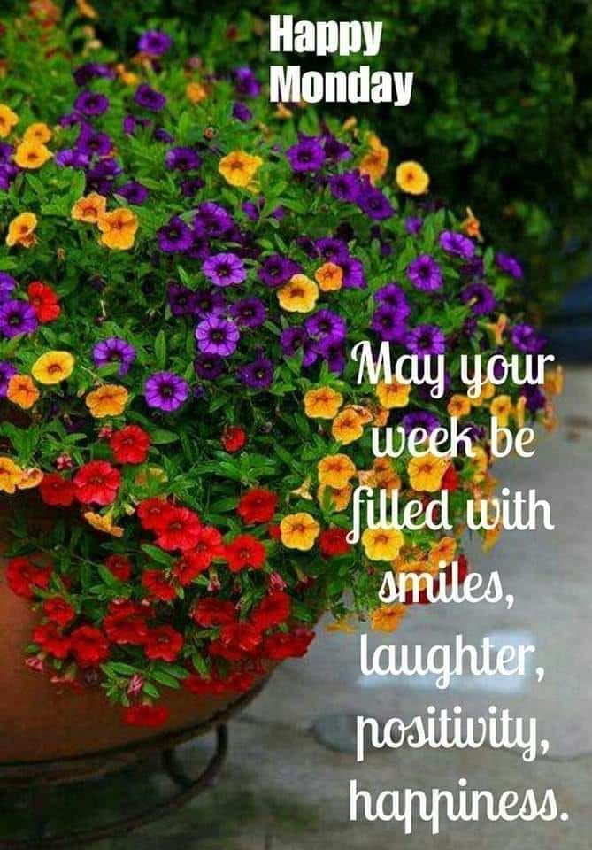 Happy Monday Filled With Smiles, Laughter, Positivity, Happiness ...