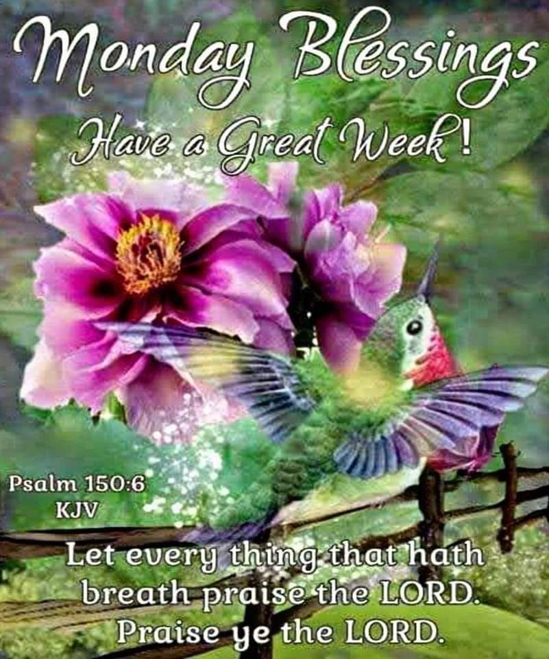 Monday Blessings With Beautiful Hummingbird Pictures, Photos, and ...