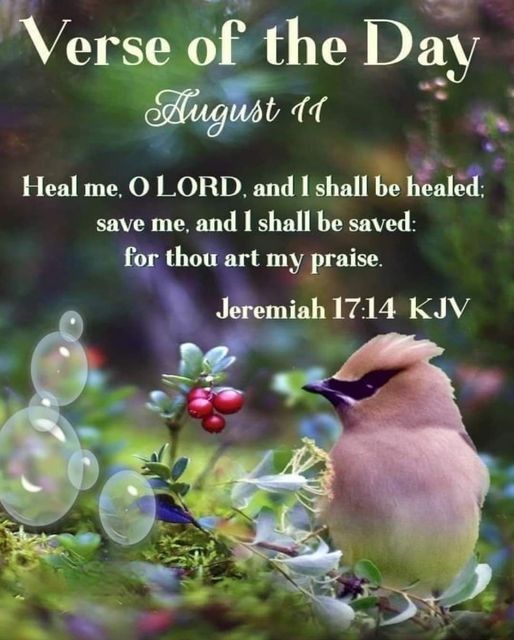 August 11 Verse Of The Day Pictures, Photos, and Images for Facebook ...