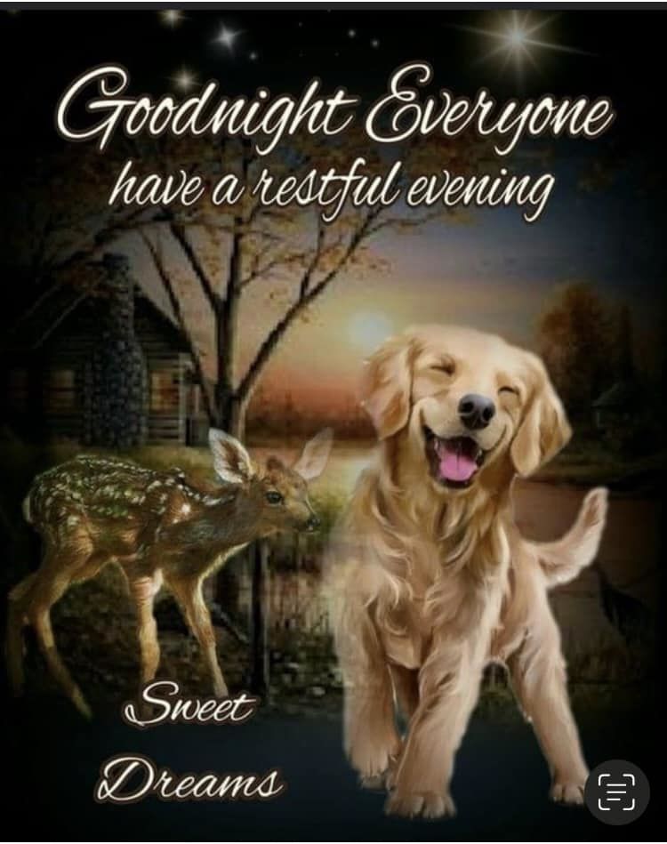 Dog And Deer - Goodnight Everyone, Have A Restful Evening Pictures ...