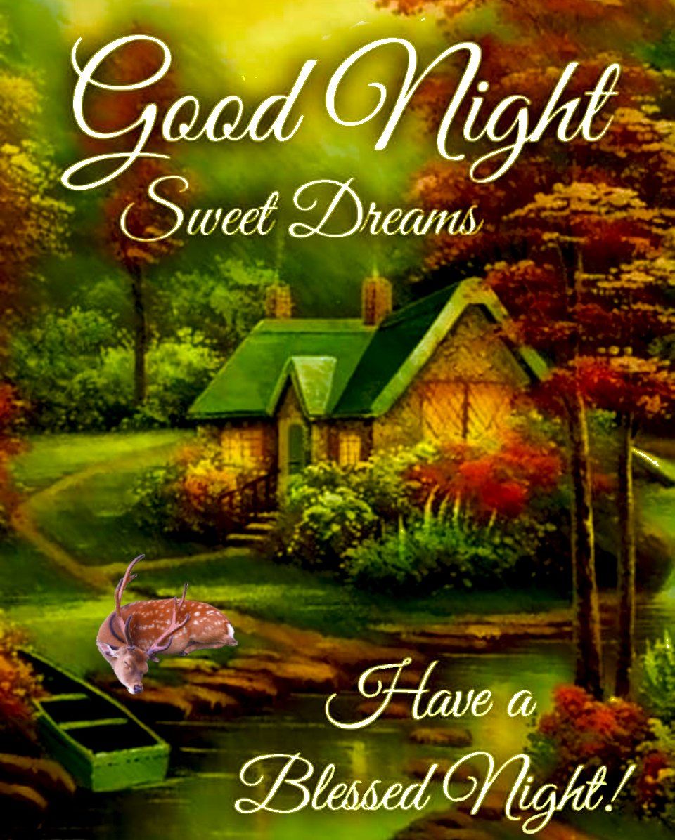 Have A Blessed Good Night Pictures, Photos, and Images for Facebook ...