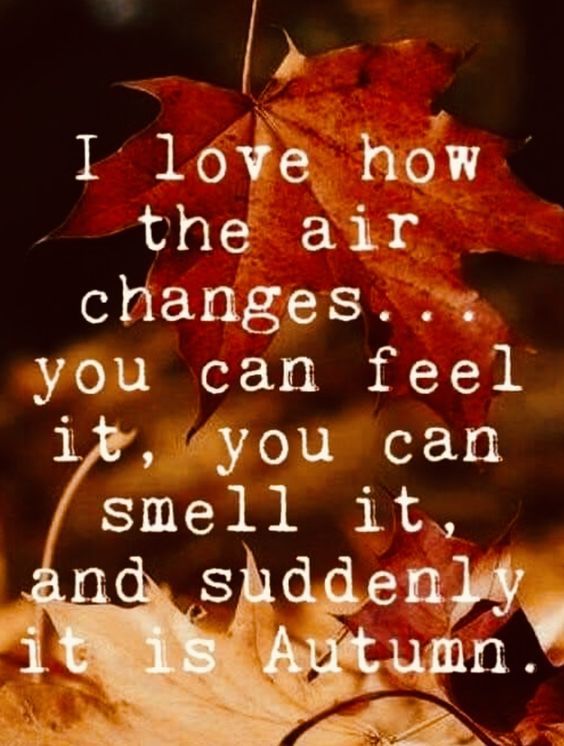 I Love How The Air Changes...you Can Feel It, You Can Smell It, And ...