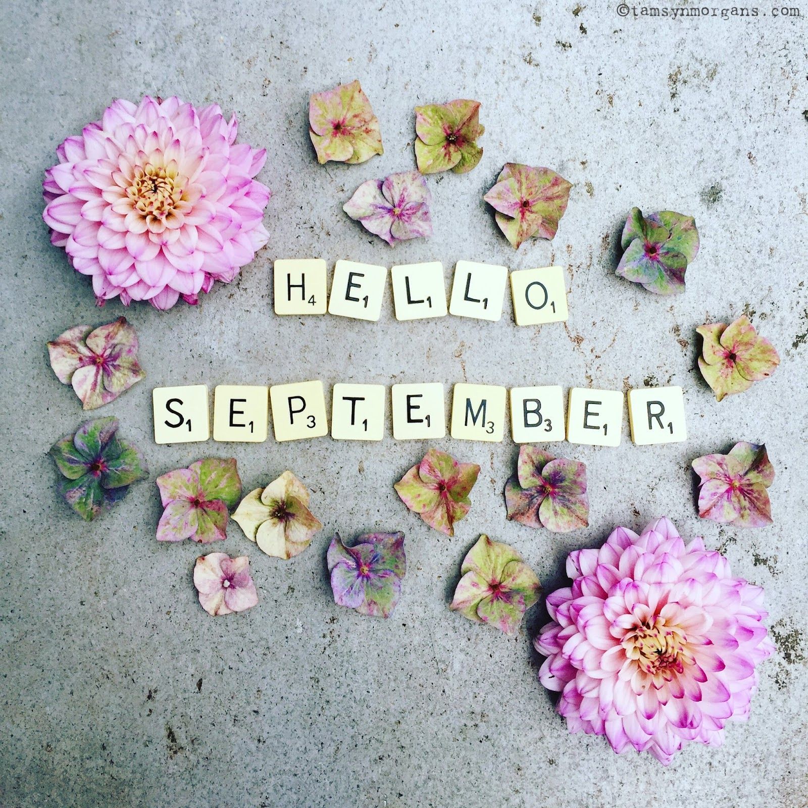 Hello September In Scrabble Letters Pictures, Photos, and Images for ...