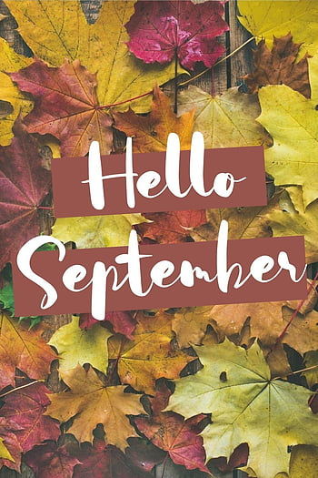 Hello September With Colorful Leaves Pictures, Photos, and Images for ...