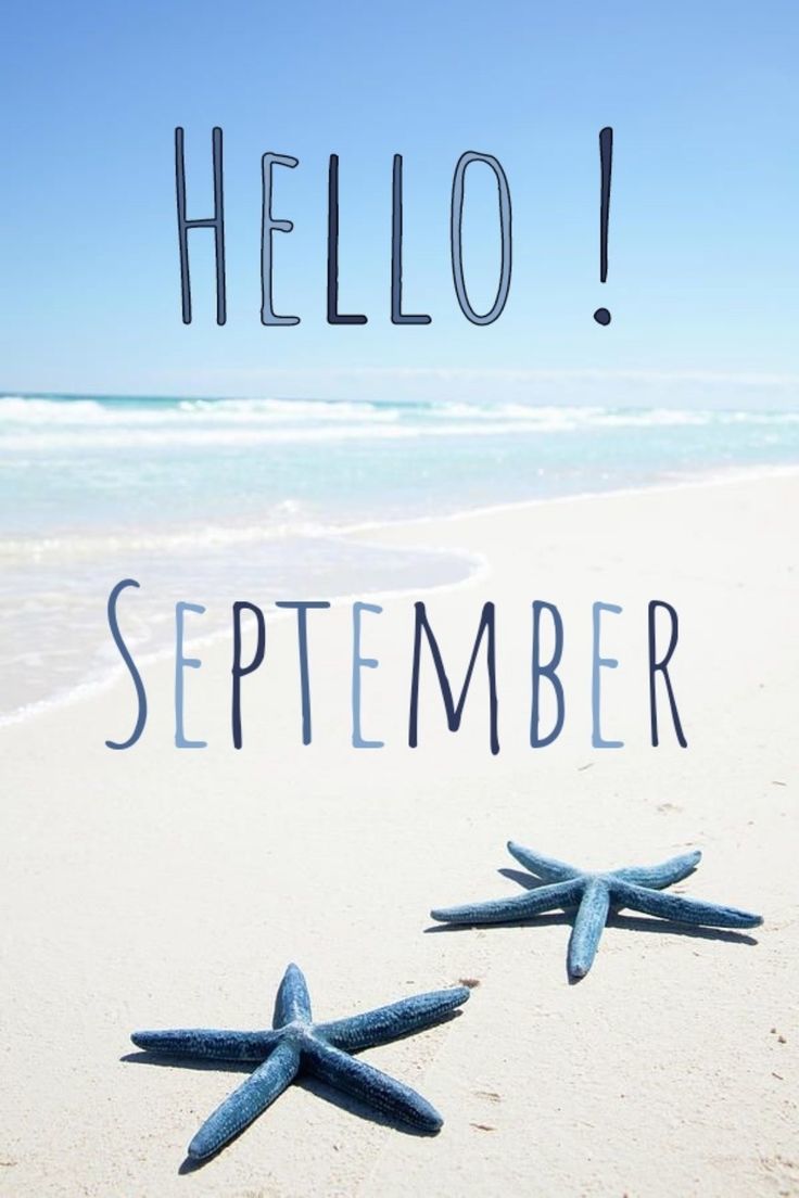 Starfishes On Beach - Hello September Pictures, Photos, and Images for ...