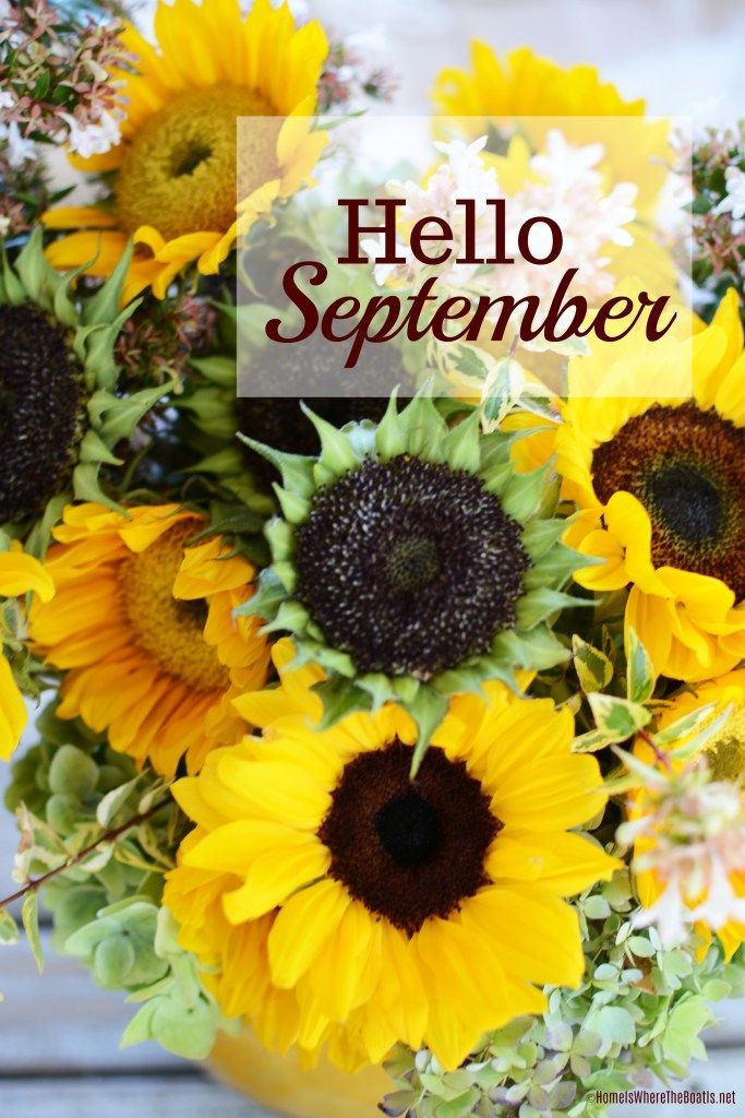 Hello September Sunflower Bouquet Pictures, Photos, and Images for ...