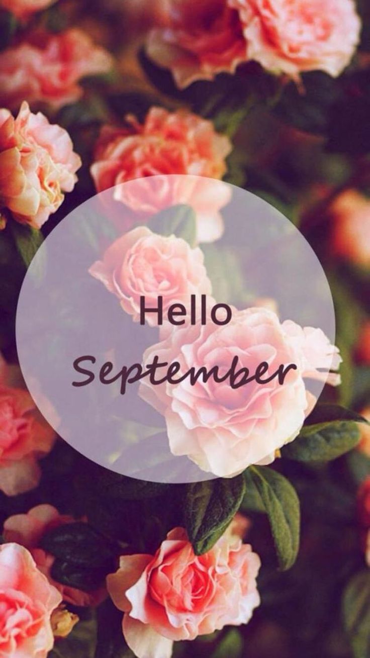 Vintage Rose - Hello September Pictures, Photos, and Images for ...