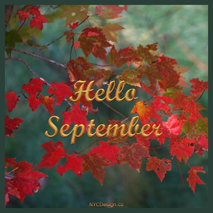 Red Leaves - Hello September Image Pictures, Photos, and Images for ...