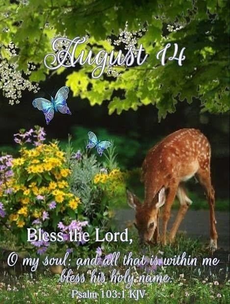 Blessed August 14 Quote Pictures, Photos, and Images for Facebook ...