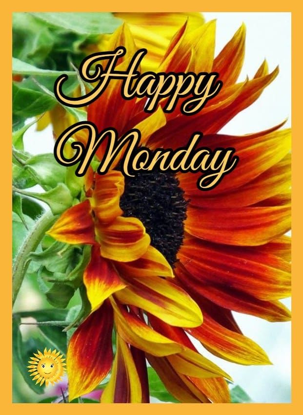 Happy Monday Pictures, Photos, and Images for Facebook, Tumblr ...