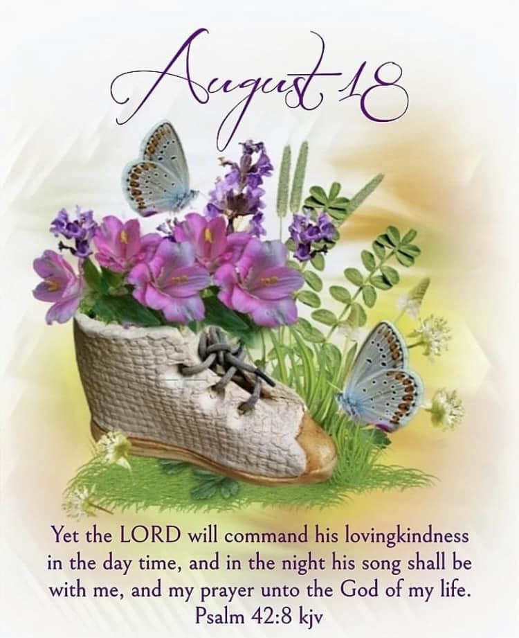 August 18 Pictures, Photos, and Images for Facebook, Tumblr, Pinterest ...