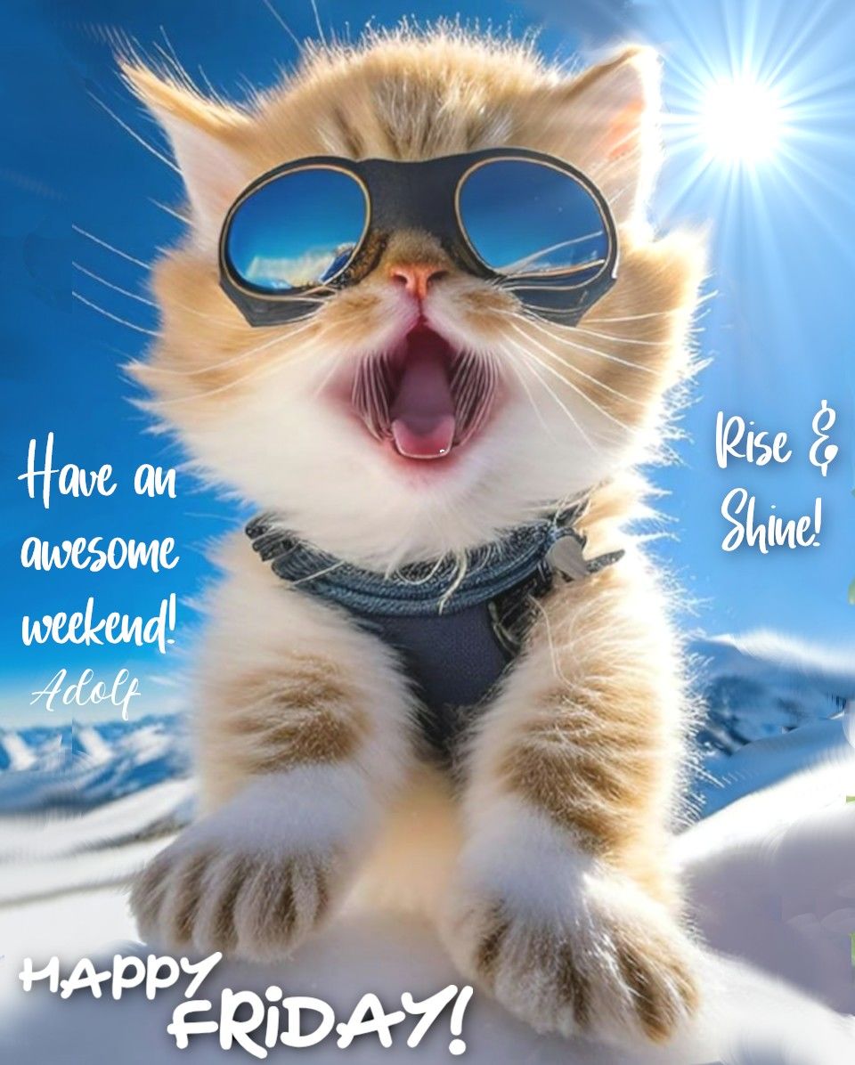 Have An Awesome Weekend. Rise & Shine. Happy Friday Pictures, Photos ...