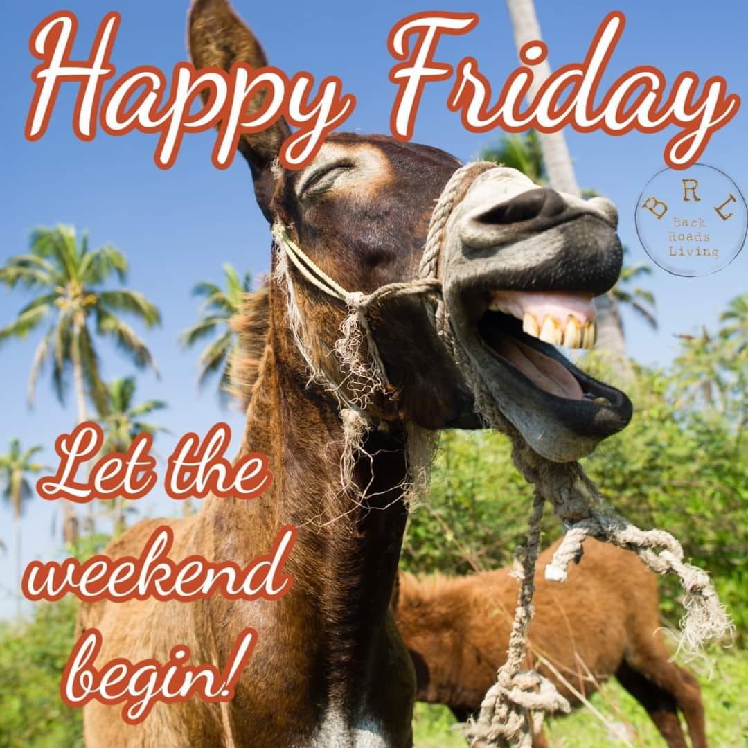 Happy Friday With Happy Donkey Pictures, Photos, and Images for ...
