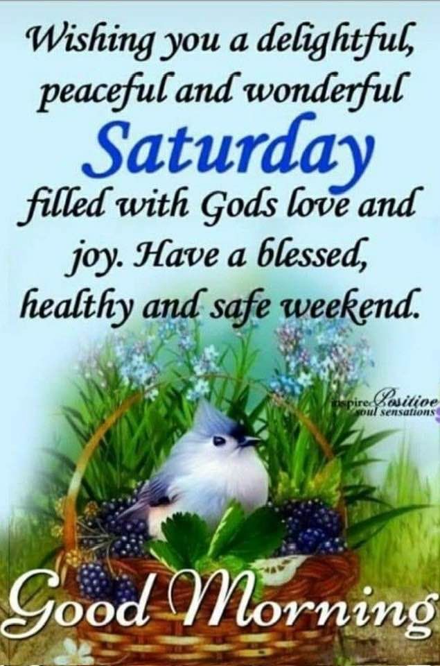 Wishing You A Delightful, Peaceful And Wonderful Saturday Filled With ...