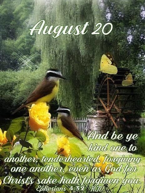 Ephesians 4:32 August 20 Scripture Pictures, Photos, and Images for ...