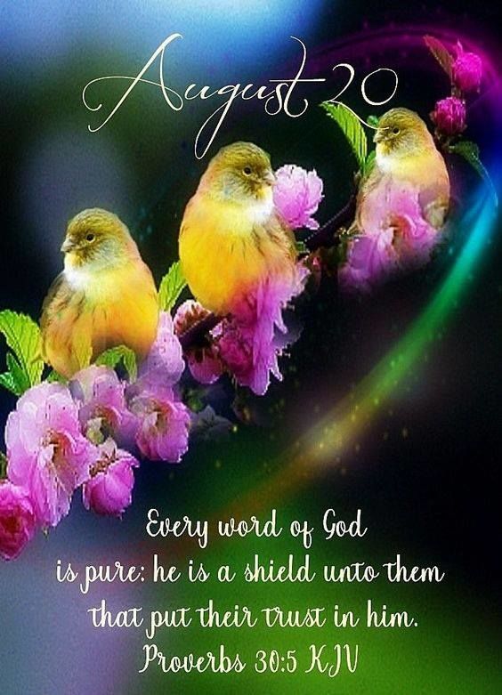 August 20 Via Proverbs 30:5 Pictures, Photos, and Images for Facebook ...