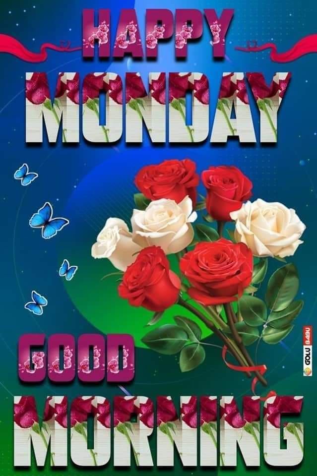 Red And White Roses - Happy Monday Good Morning Pictures, Photos, and ...