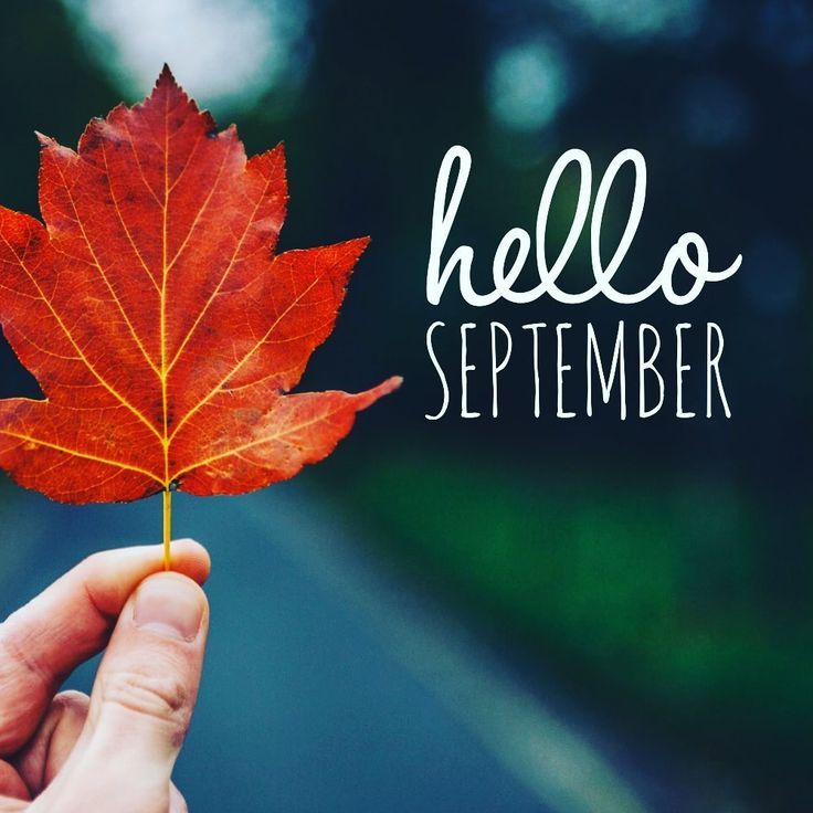 Hello September Maple Leaf Pictures, Photos, and Images for Facebook ...