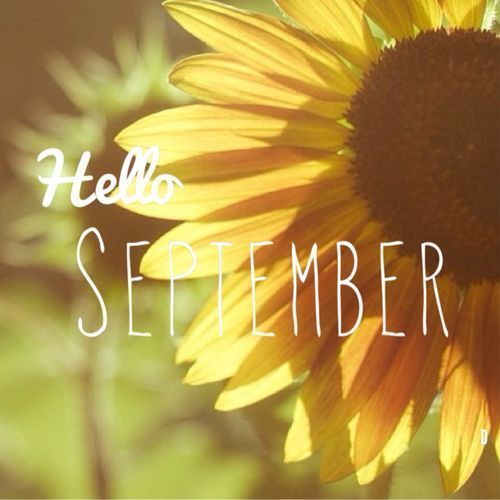 Bright Sunflower - Hello September Pictures, Photos, and Images for ...