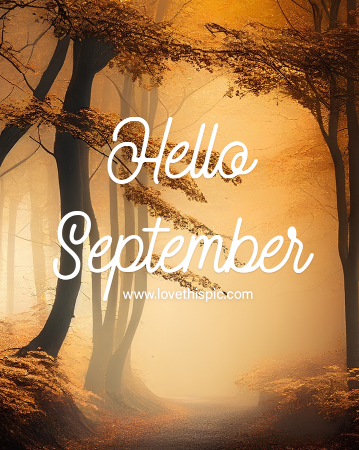 Fall Forest - Hello September Pictures, Photos, and Images for Facebook ...