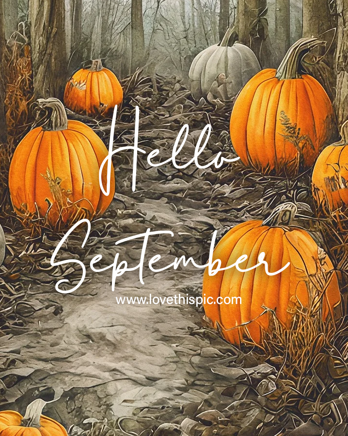 Forest Of Pumpkins - Hello September Pictures, Photos, and Images for ...