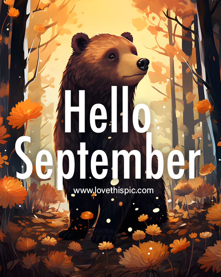 Bear In Forest - Hello September Pictures, Photos, and Images for ...