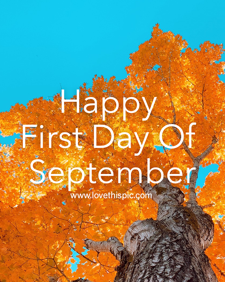 Orange Tree - Happy First Day Of September Pictures, Photos, and Images ...
