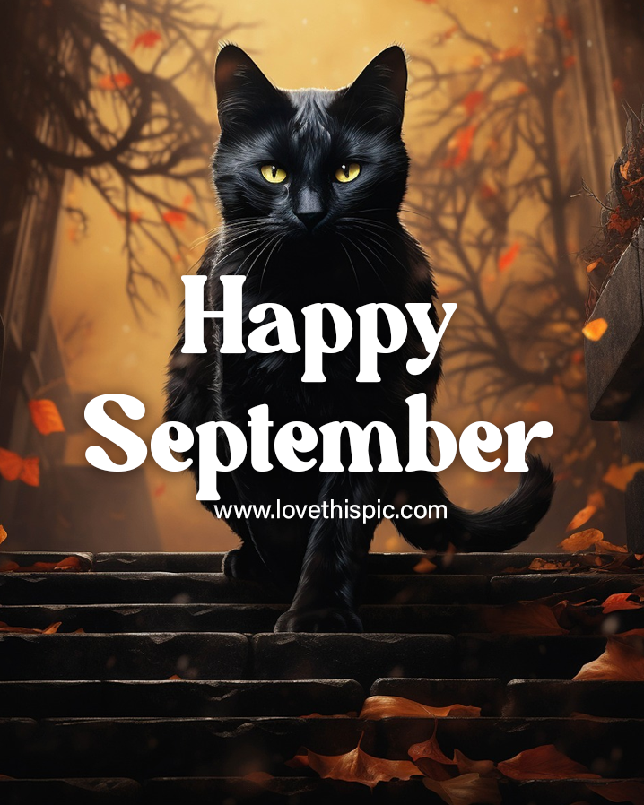 Black Cat - Happy September Pictures, Photos, and Images for Facebook ...
