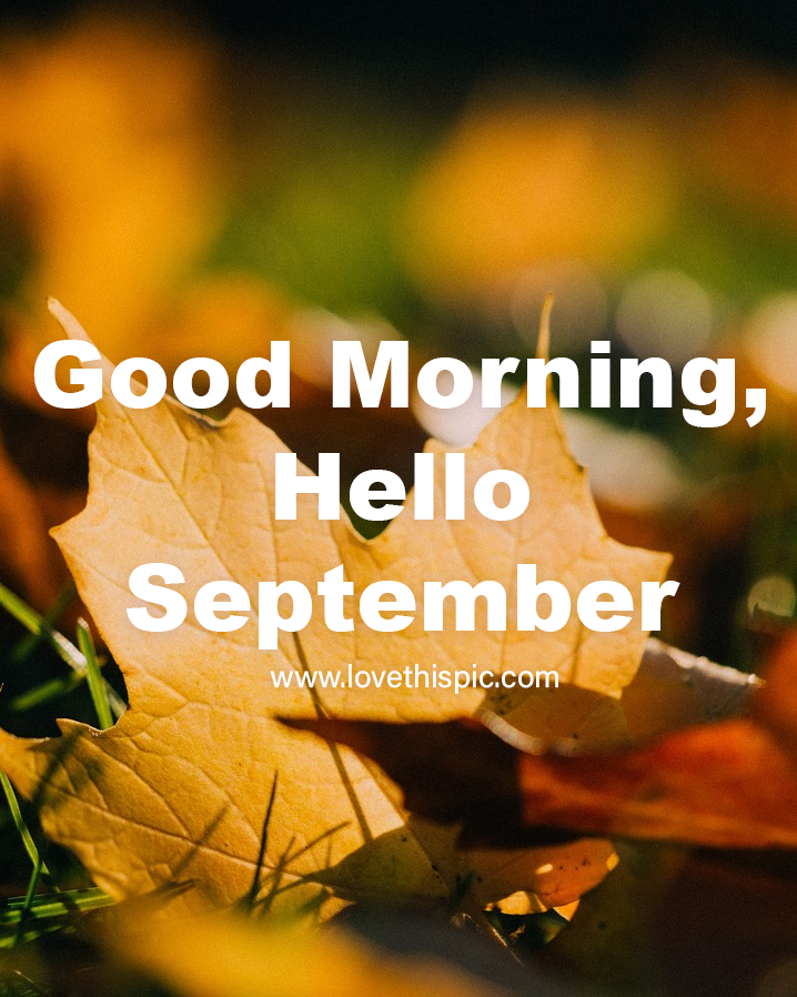 Crisp Leaves - Good Morning, Hello September Pictures, Photos, and ...