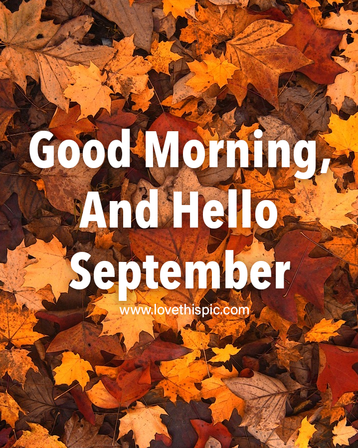 Fall Leaves On Ground - Good Morning And Hello September Pictures ...