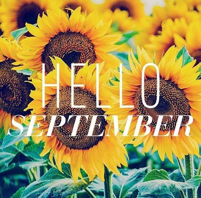 Hello September With Bright Sunflowers Pictures, Photos, and Images for ...