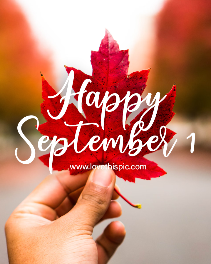 Happy September 1 With Red Maple Leaf Pictures, Photos, and Images for ...