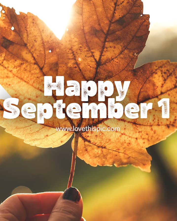 Brown Maple Leaf - Happy September 1 Pictures, Photos, and Images for ...