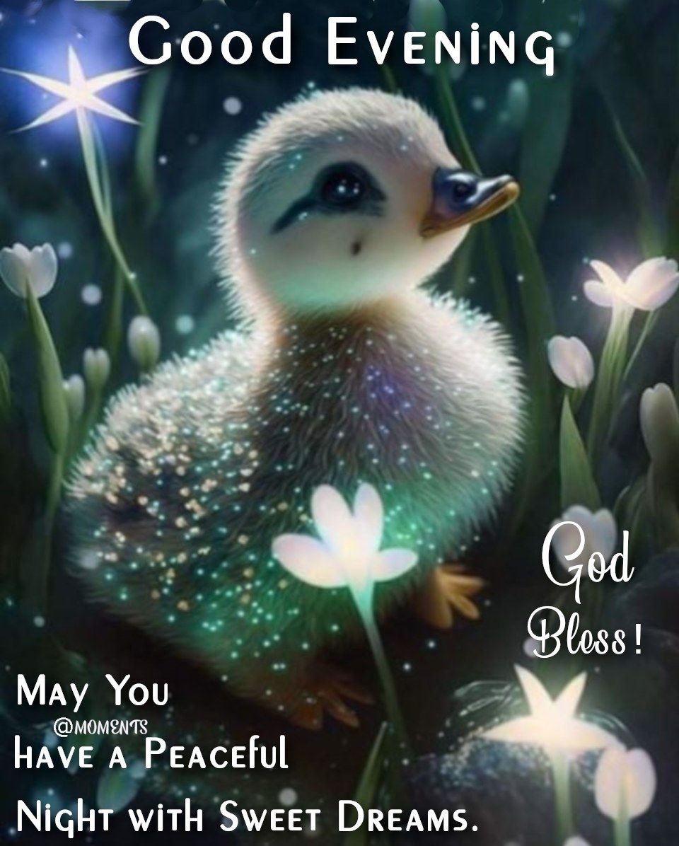 Good Evening Greeting With Peaceful Dreams Pictures, Photos, and Images ...