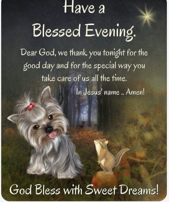 Have A Blessed Evening Pictures, Photos, and Images for Facebook ...