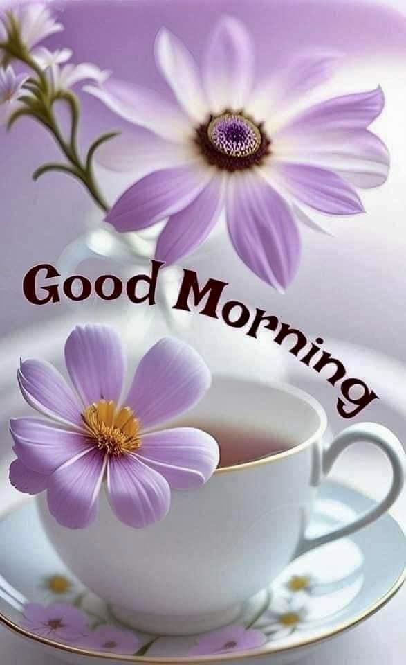 Good Morning With Flower And Tea Pictures, Photos, and Images for ...