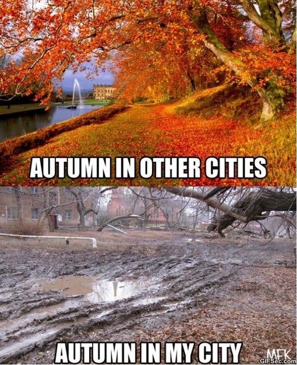 Autumn In Other Cities Vs Autumn In My City Pictures, Photos, and ...
