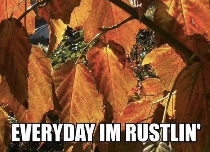Everyday Im Rustlin' Pictures, Photos, and Images for Facebook, Tumblr ...