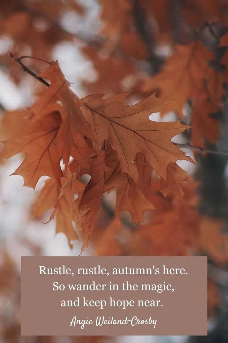 Rustle, Rustle, Autumn's Here. So Wander In The Magic And Keep Hope ...