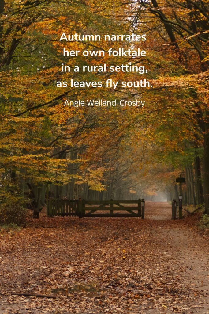 Autumn Narrates Her Own Folktale In A Rural Setting, As Leaves Fly ...