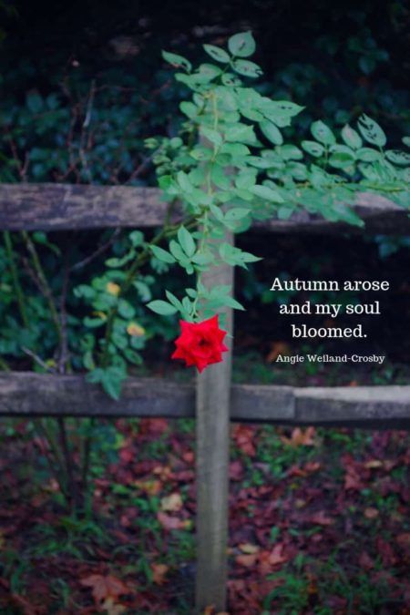 Autumn Arose And My Soul Bloomed. Pictures, Photos, and Images for ...