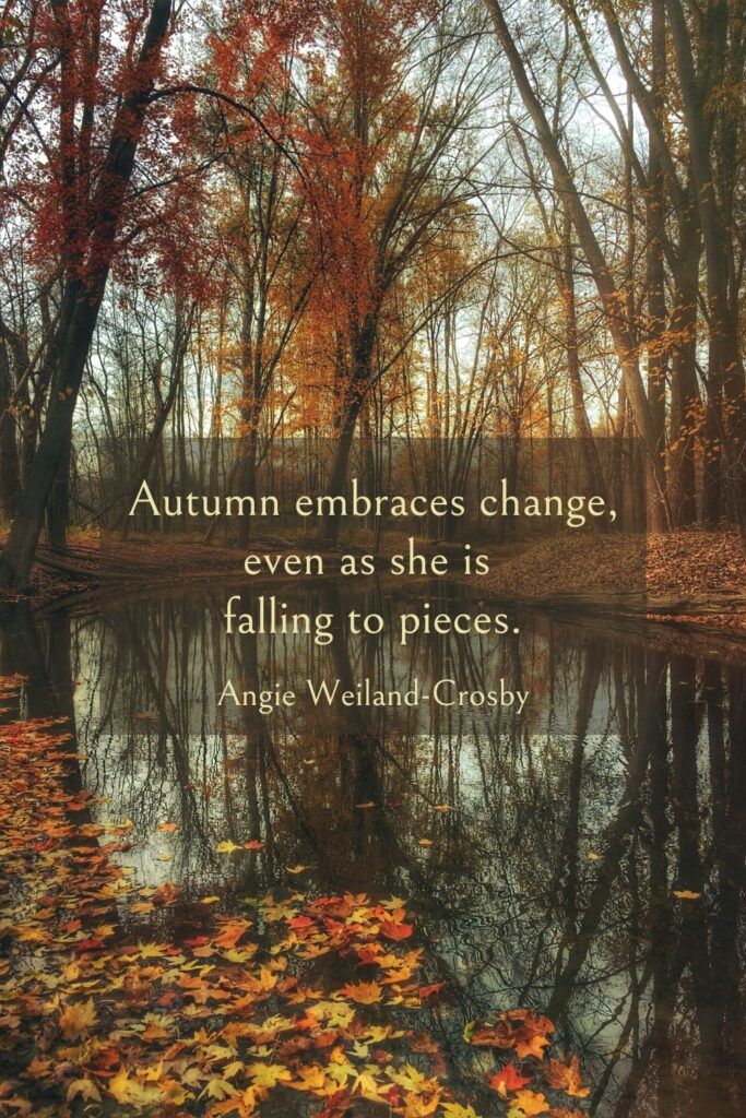 Autumn Embraces Change, Even As She Is Falling To Pieces. Pictures ...