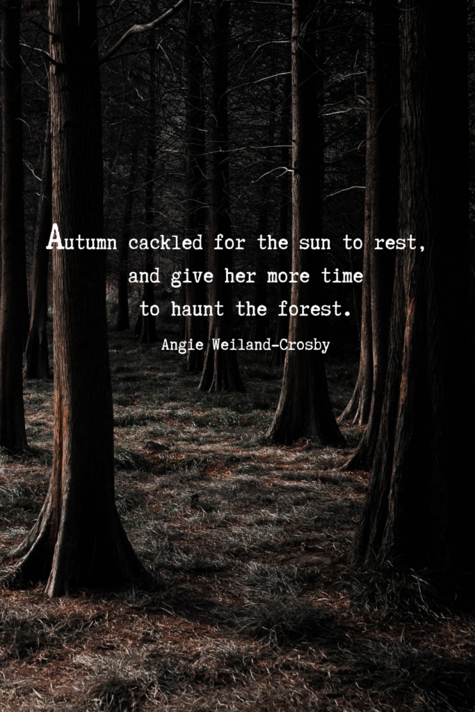 Autumn Cackled For The Sun To Rest, And Give Her More Time To Haunt The ...