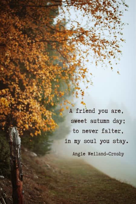 A Friend You Are, Sweet Autumn Day Pictures, Photos, and Images for ...
