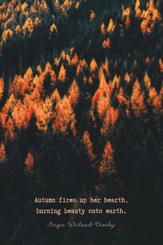 Autumn Fires Up Her Hearth, Burning Beauty Onto Earth Pictures, Photos ...