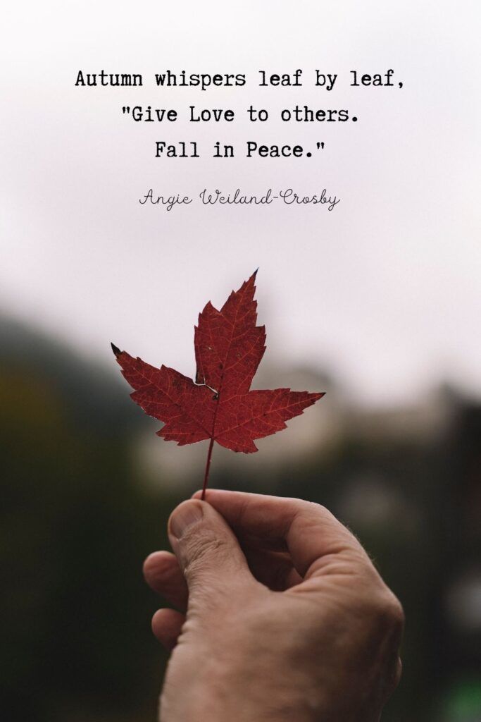 Autumn Whispers Leaf By Leaf, “Give Love To Others. Fall In Peace ...