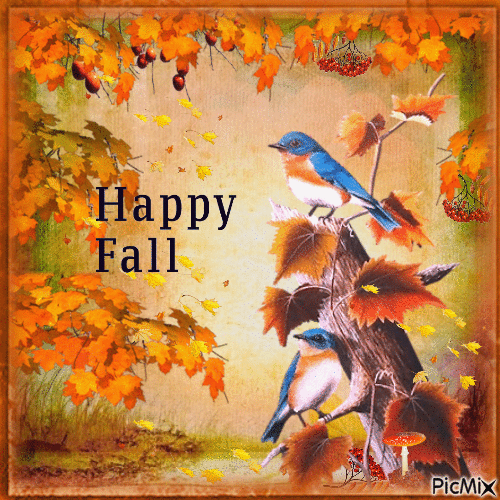 Happy Fall - Autumn Birds Gif Pictures, Photos, and Images for Facebook ...