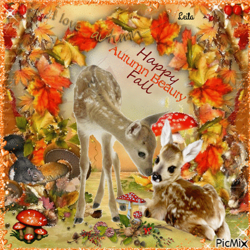 Happy Fall Deer - Autumn Beauty Pictures, Photos, and Images for ...