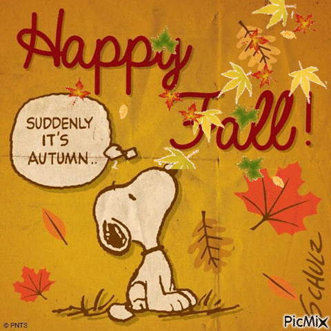 Suddenly It's Autumn, Happy Fall! Pictures, Photos, and Images for ...